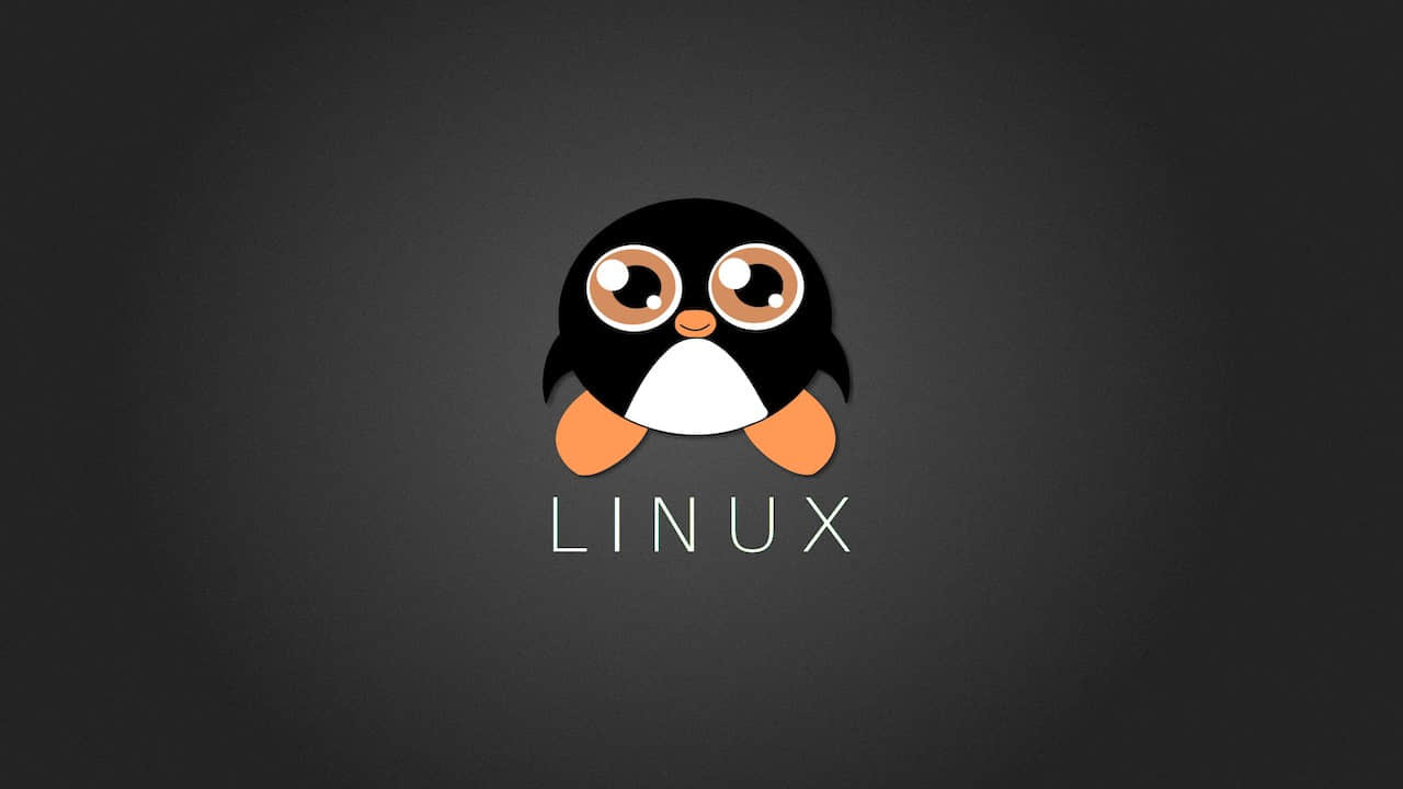 12 个对新手最重要的 Linux 命令 - LinuxStory