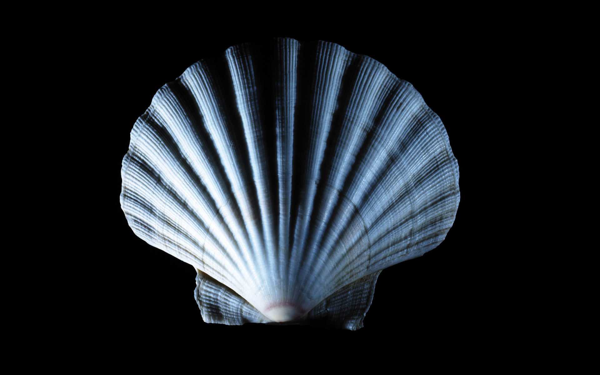 如何编写和使用自定义的 Shell 函数和函数库 - LinuxStory