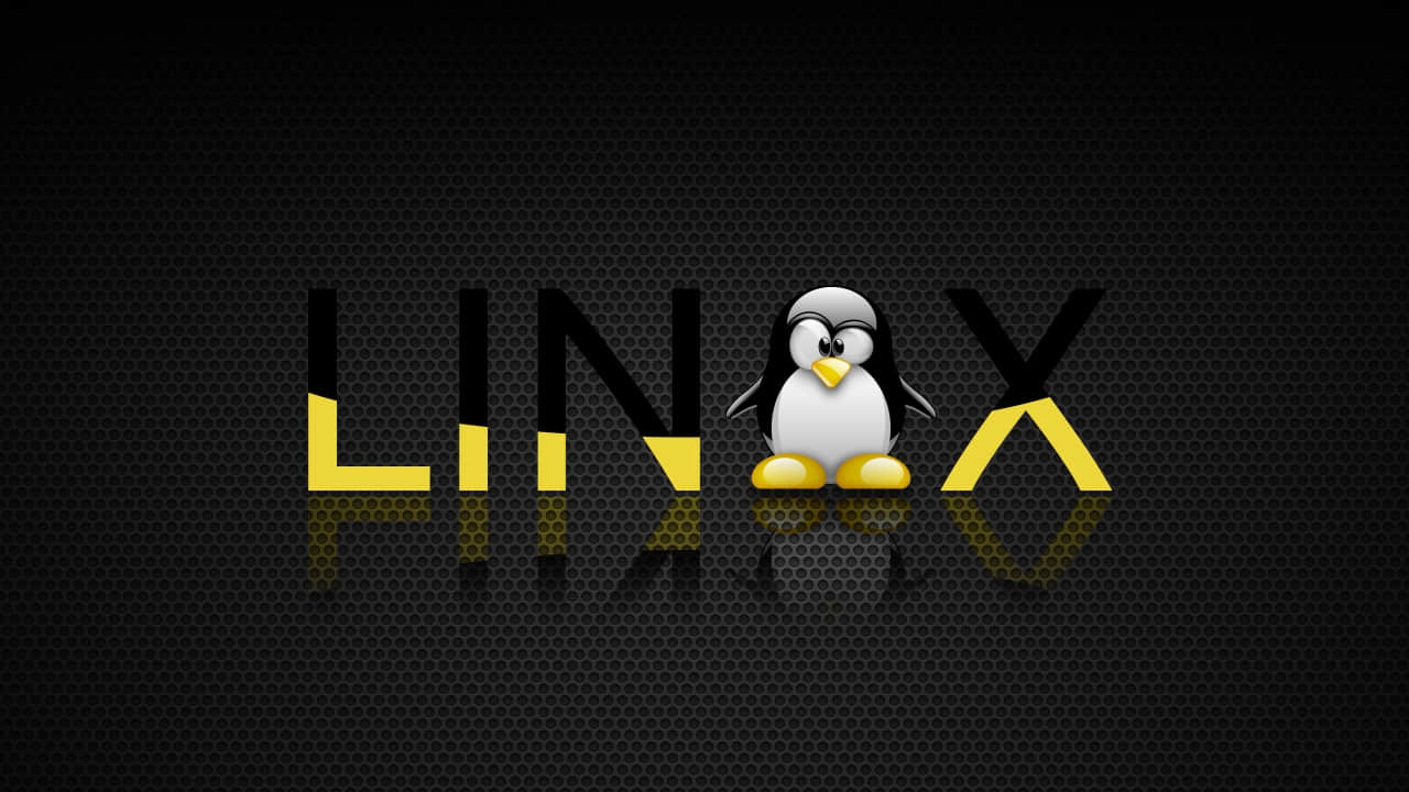 基础：在 Linux 终端中删除文件和文件夹 Linuxstory