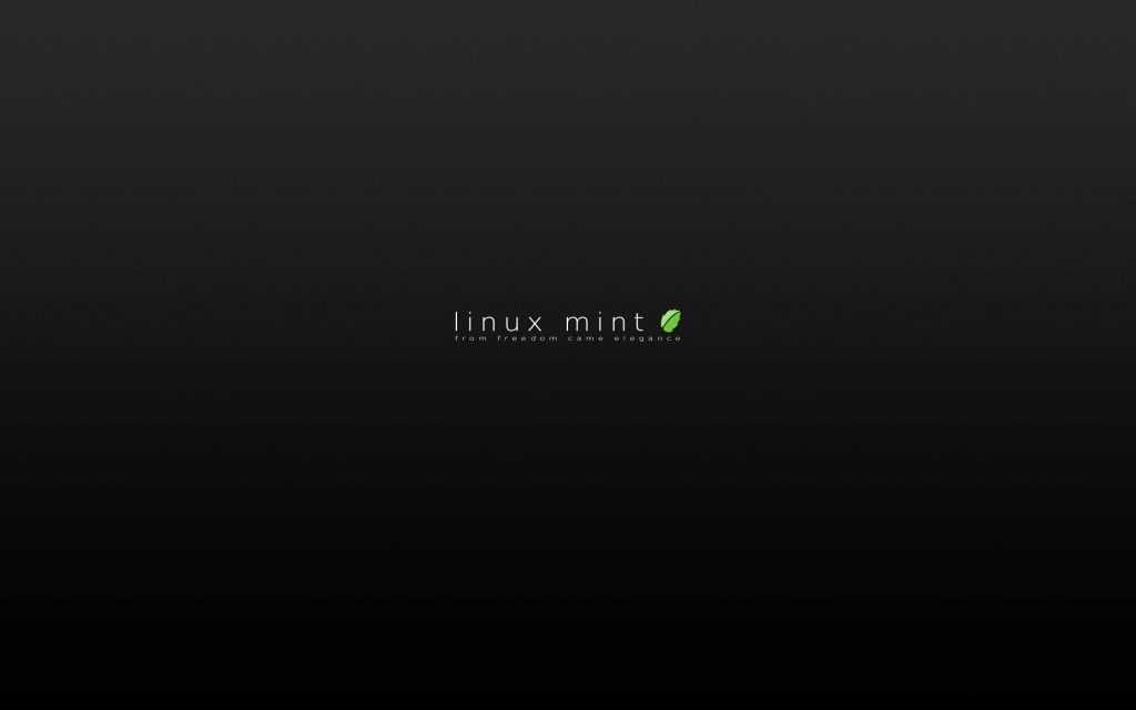 安装 Linux Mint 20 后需要做的 13 件事 - LinuxStory