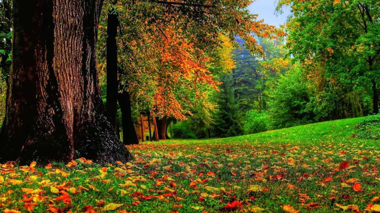 入门：如何更改 Ubuntu 的终端的字体和大小 - LinuxStory