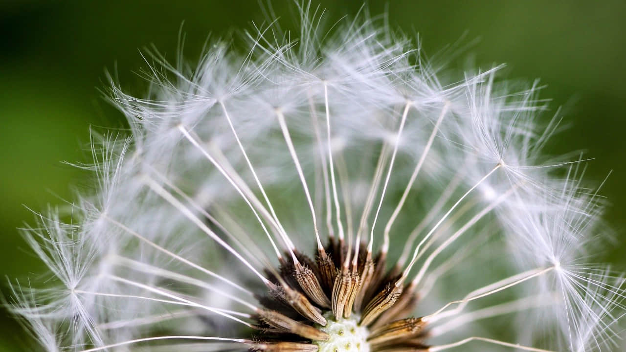 开源新手指南 - LinuxStory