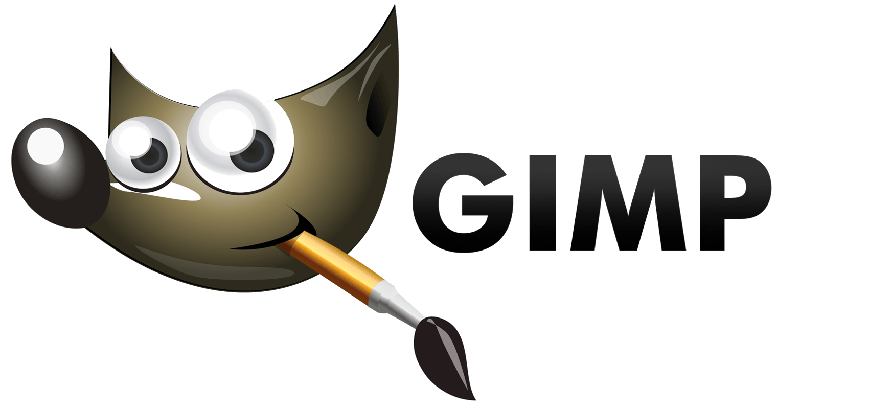 GIMP 过去的 20 年：一点一滴的进步 - LinuxStory