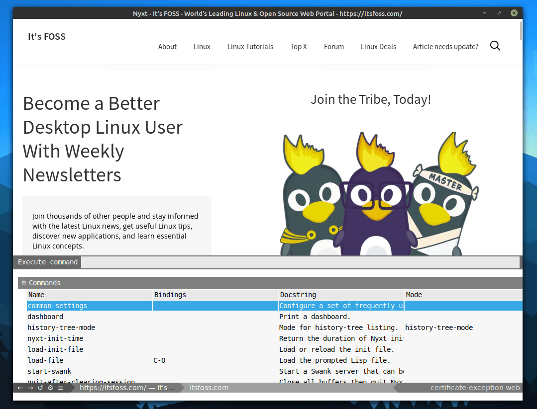 Nyxt 浏览器：一个受 Emacs 和 Vim 启发的面向键盘的网页浏览器 - LinuxStory