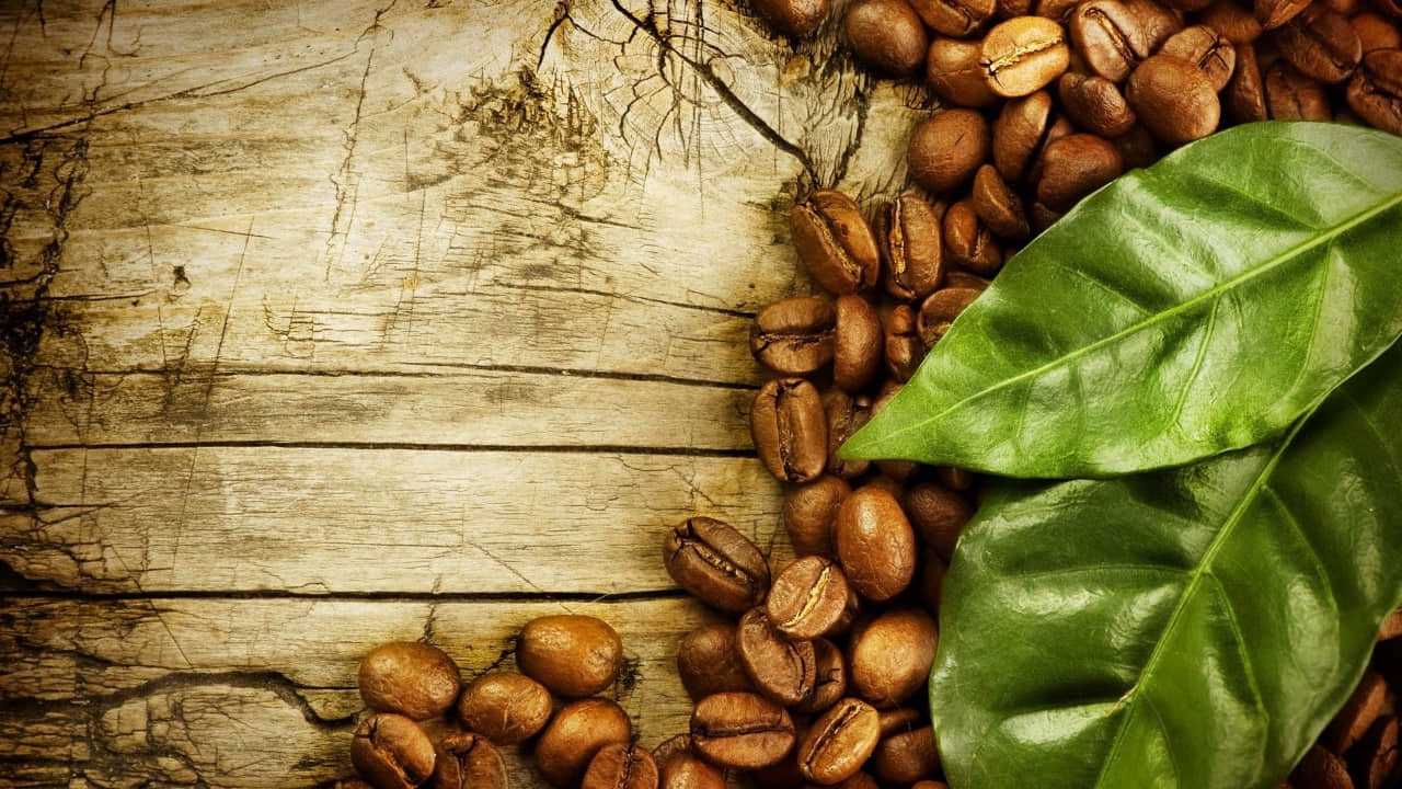 2021 年要嘗試的 3 個新的 Java 工具 - LinuxStory