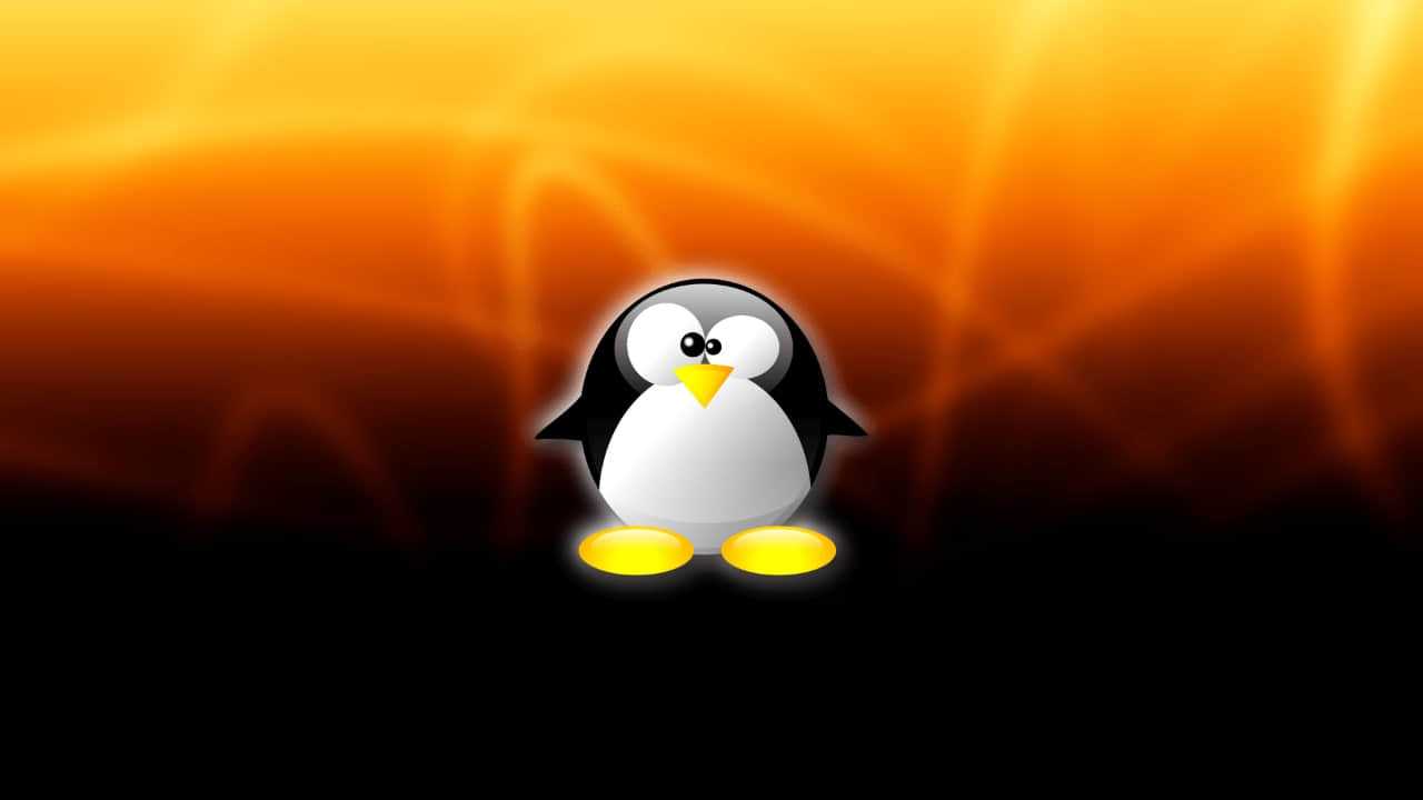 定制你的 Linux 终端外观的 5 项调整 - LinuxStory